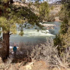 Rates - Red Mountain RV Park